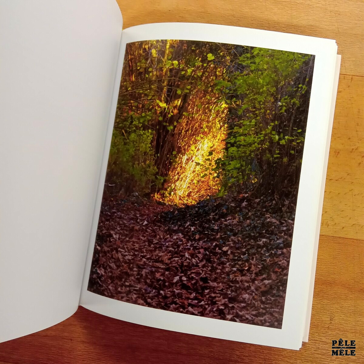 "La Vie Continue" - Frédérique Dolphijn & Daniel Fouss (Yellow Now ...