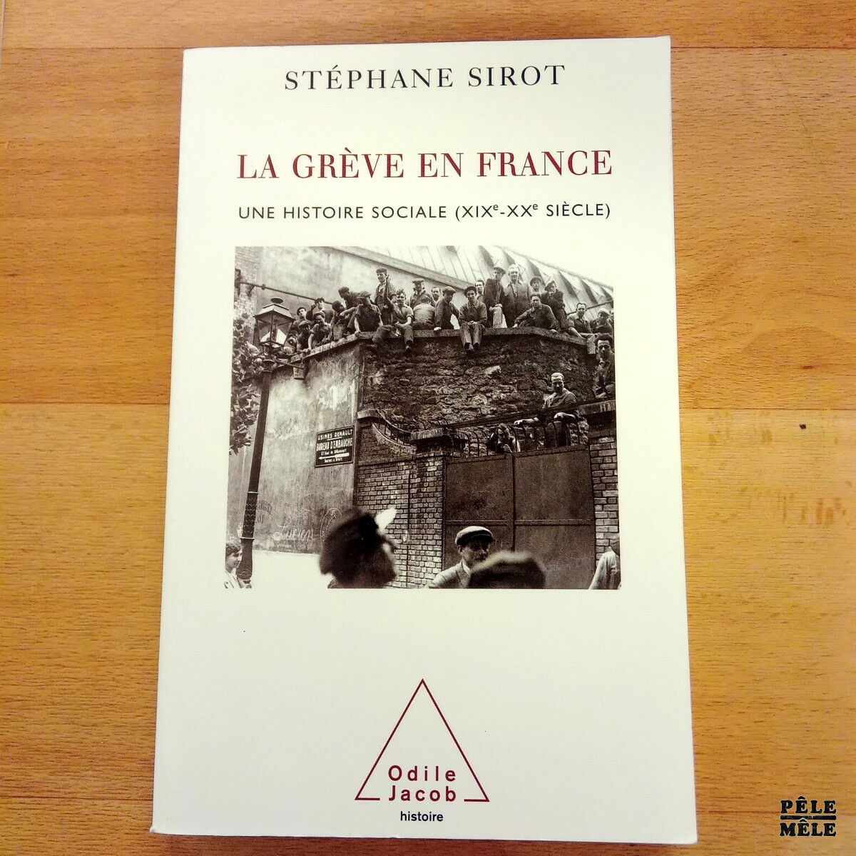"La grève en France - Une histoire sociale (XIXe-XXe siècle ...