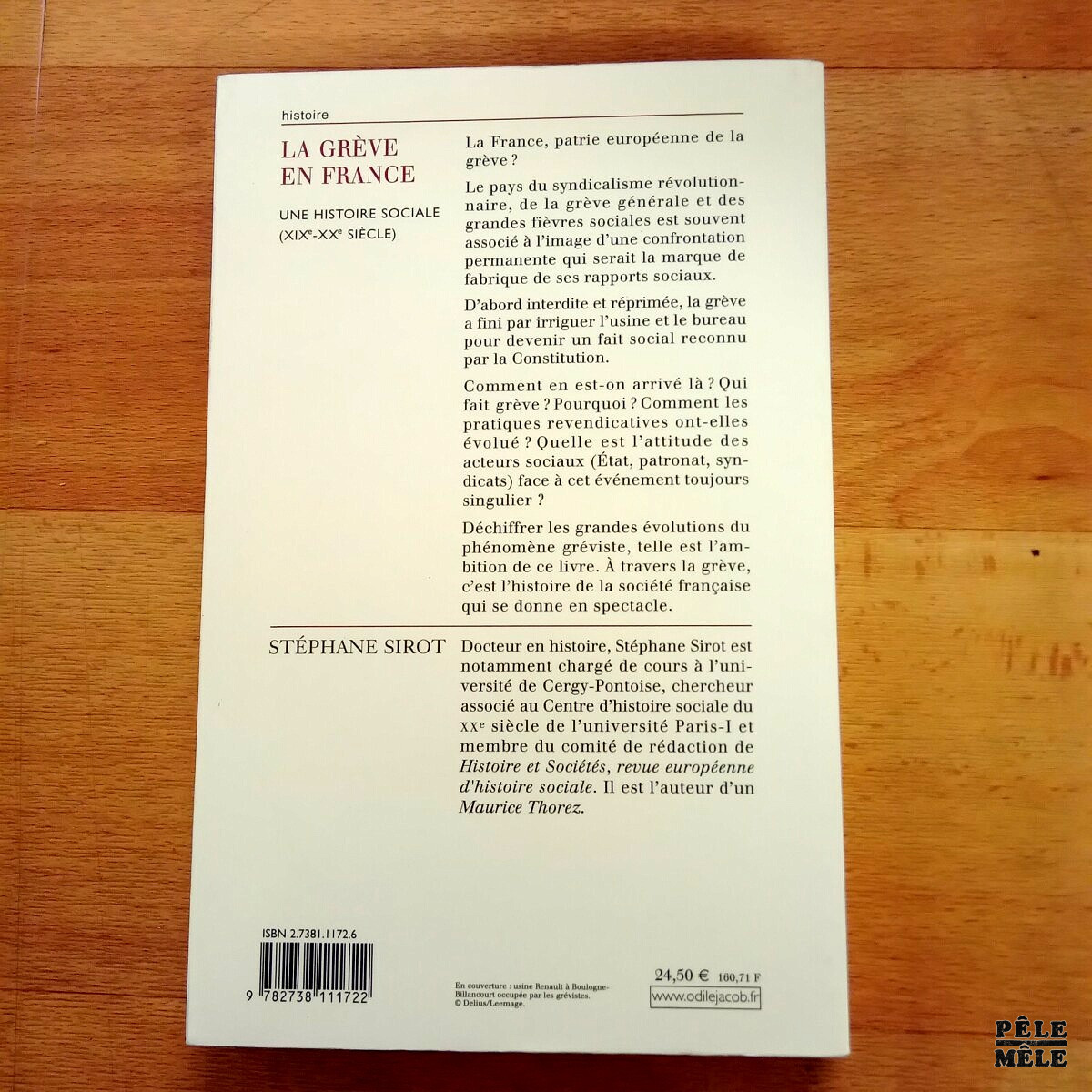 "La grève en France - Une histoire sociale (XIXe-XXe siècle ...