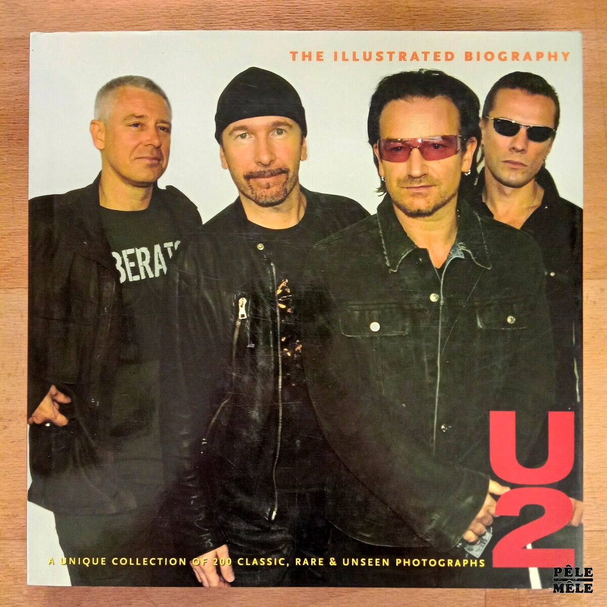 "U2 : The Illustrated Biography" - Martin Andersen (Trans Atlantic ...