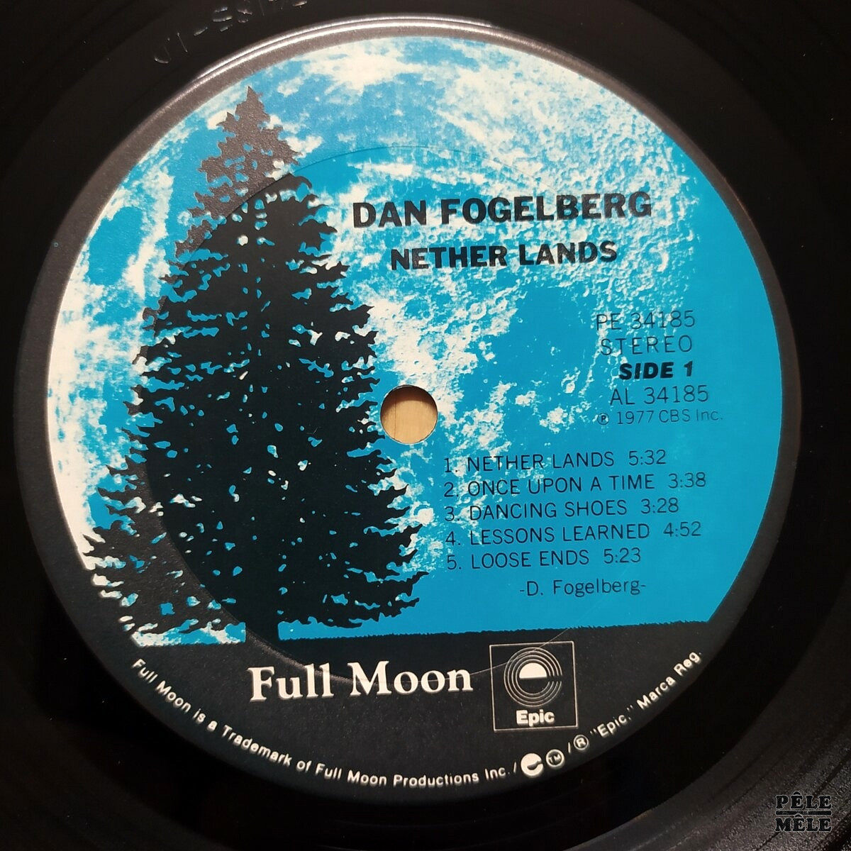 Dan Fogelberg "Nether Lands" (FULL MOON, 1977) - Pêle-Mêle Online