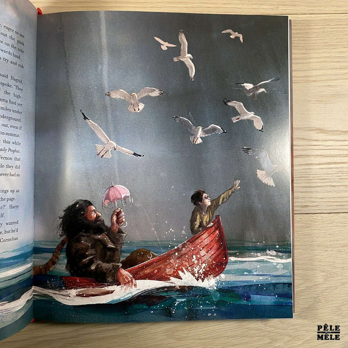 Harry Potter and the Philosopher’s Stone - Illustrated Edition - J.K ...