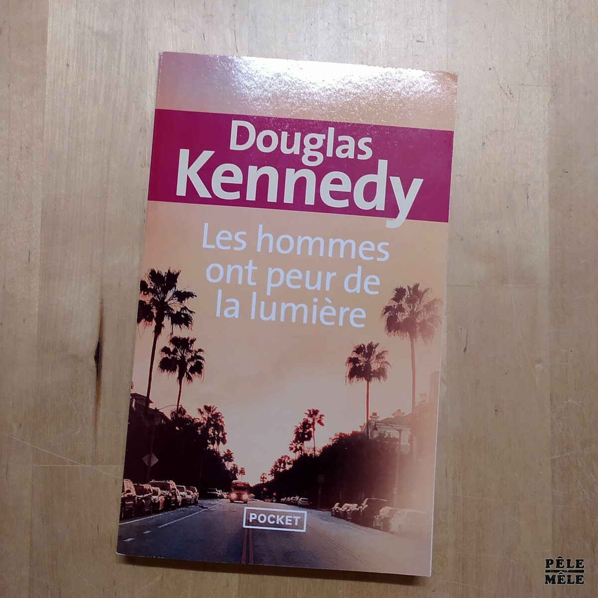 Douglas Kennedy "Les Hommes ont peur de la Lumière" (POCKET) - Pêle-Mêle Online
