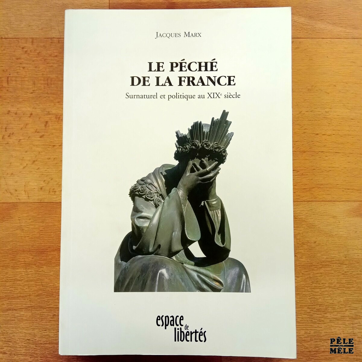 "Le péché de la France - Surnaturel et plotique au XIXème siècle ...