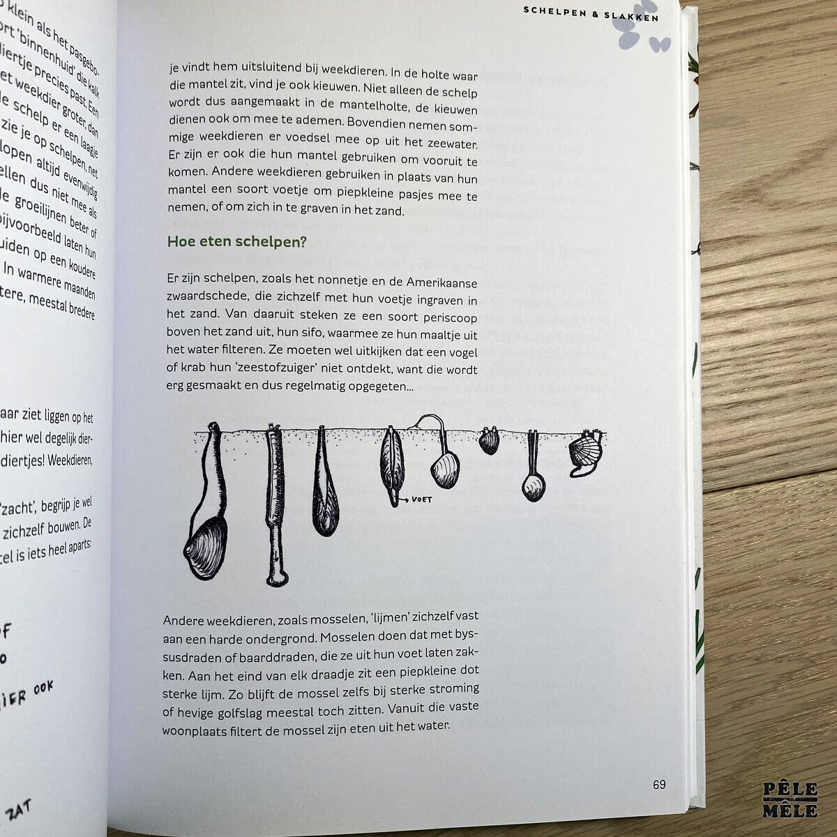 Het zeeboek - Sarah Devos - Pêle-Mêle Online