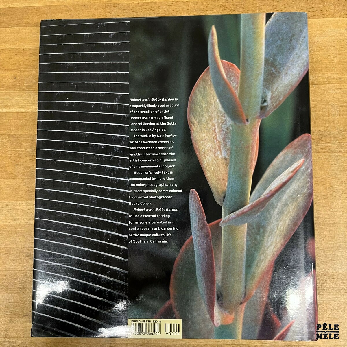 "Robert Irwin Getty Garden" - Lawrence Weschler & Becky Cohen (The J ...