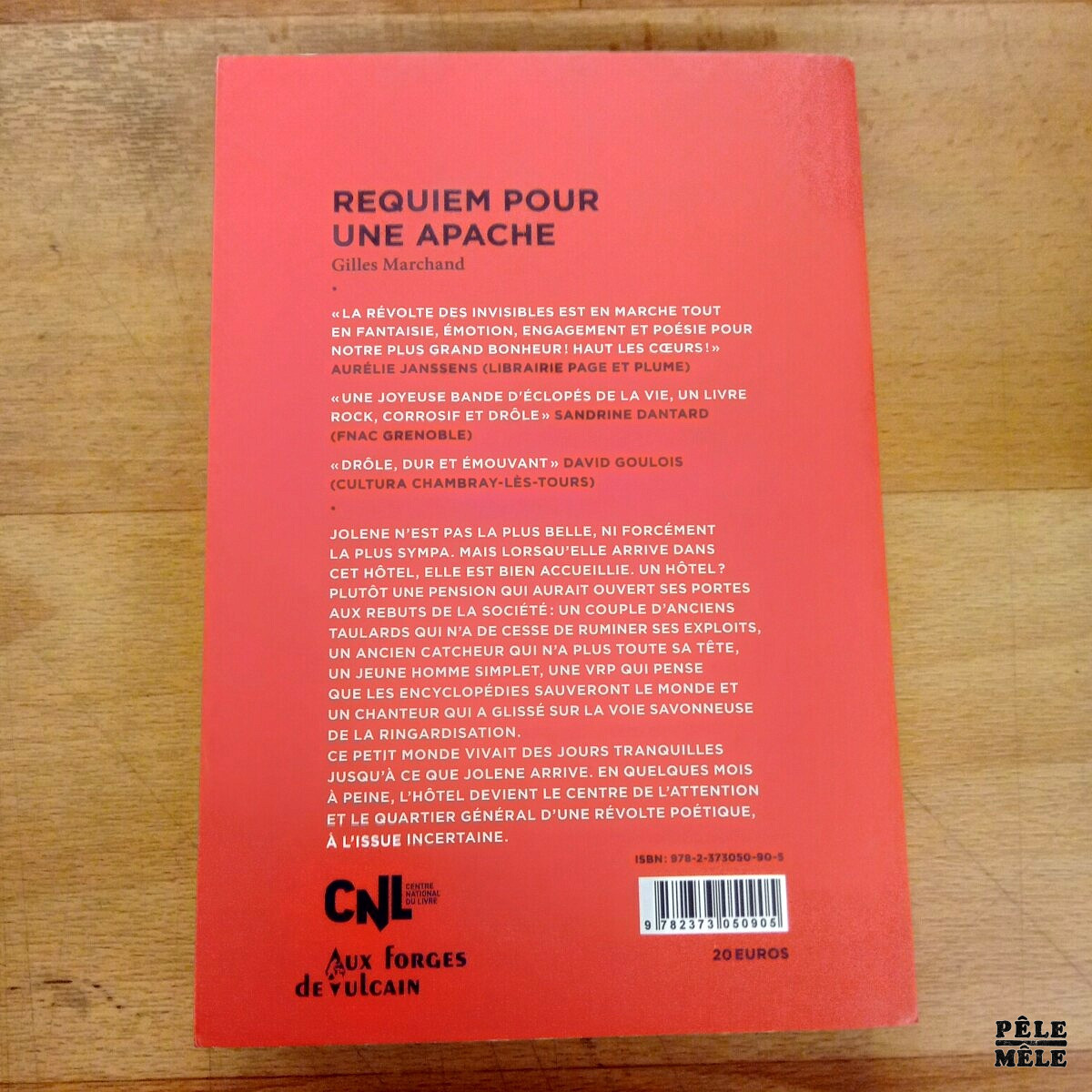 Requiem pour une Apache - Gilles Marchand - Pêle-Mêle Online