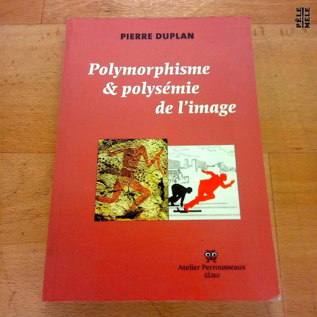 Polymorphisme et polysémie de l'image - Pierre Duplan - Pêle-Mêle Online