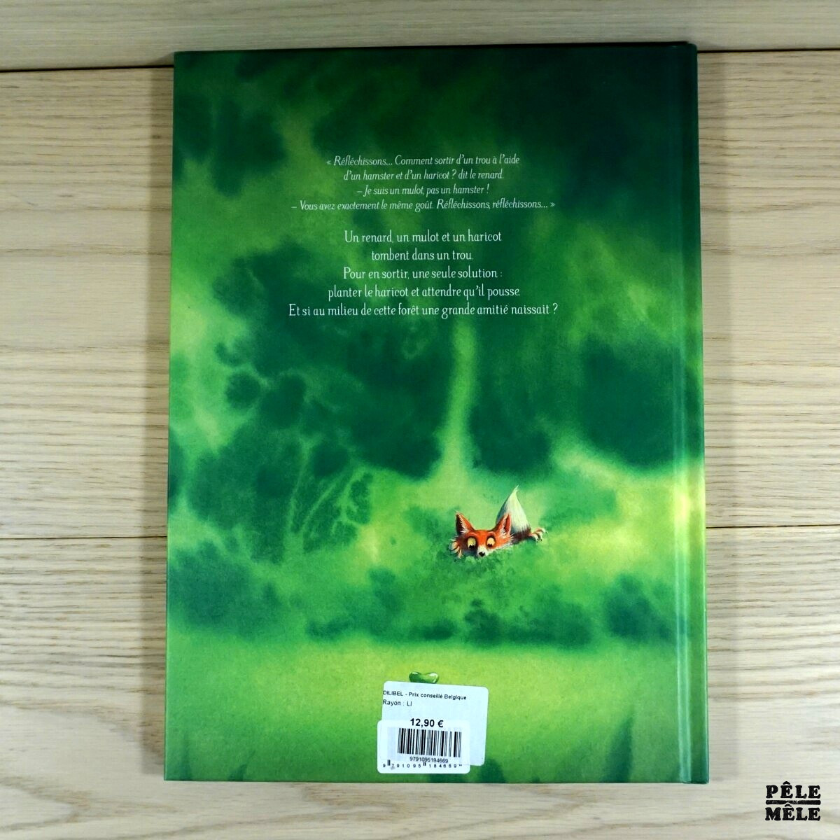 Renard et petit Georges - Thibault Prugne - Pêle-Mêle Online