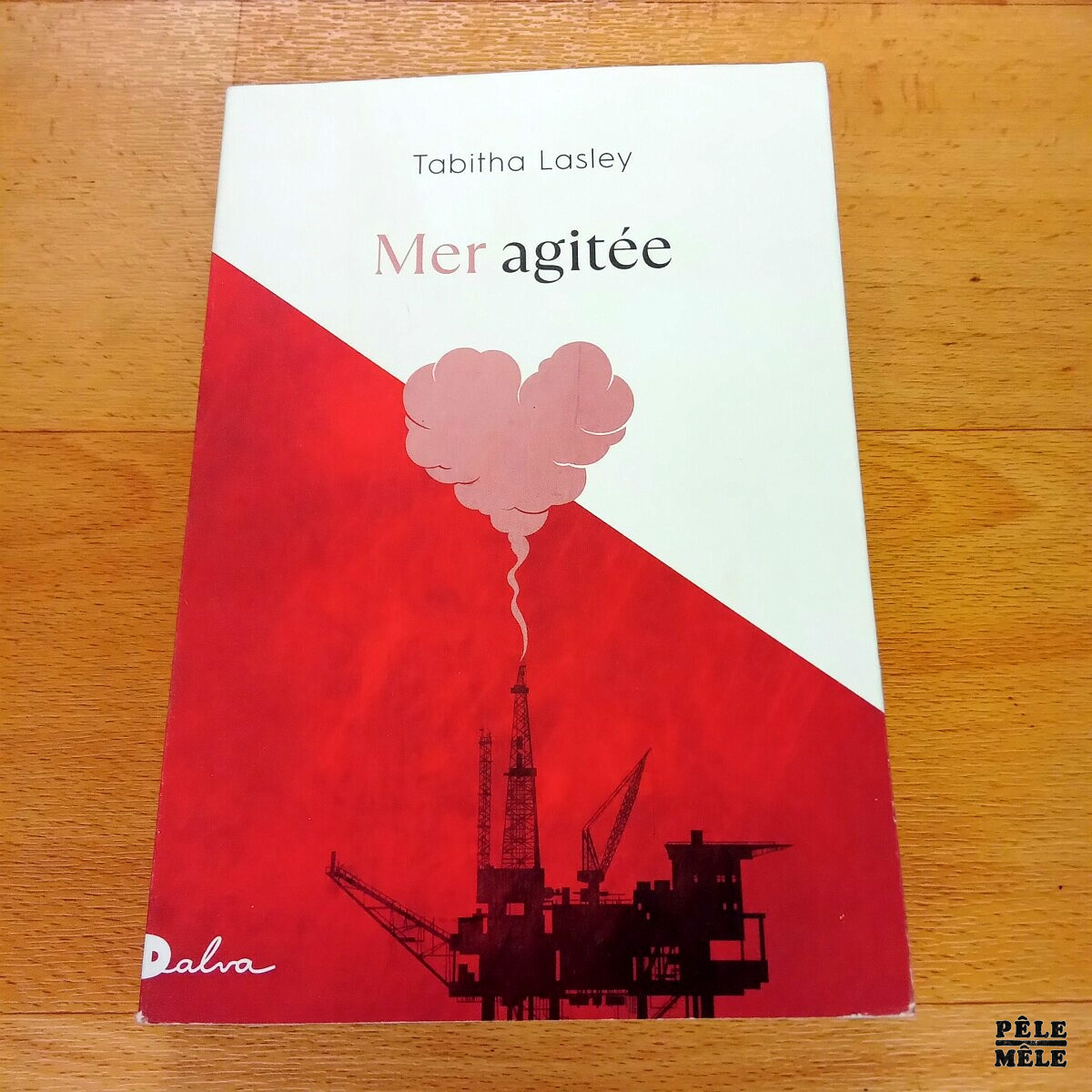 Mer agitée - Tabitha Lasley (Dalva) - Pêle-Mêle Online