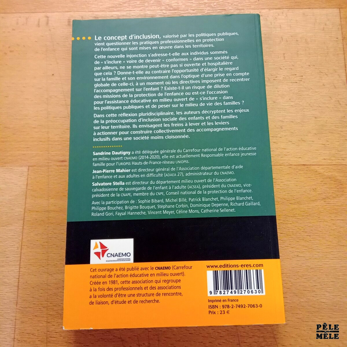 Les enjeux de l'inclusion en protection de l'enfance - Collection EMPAN ...