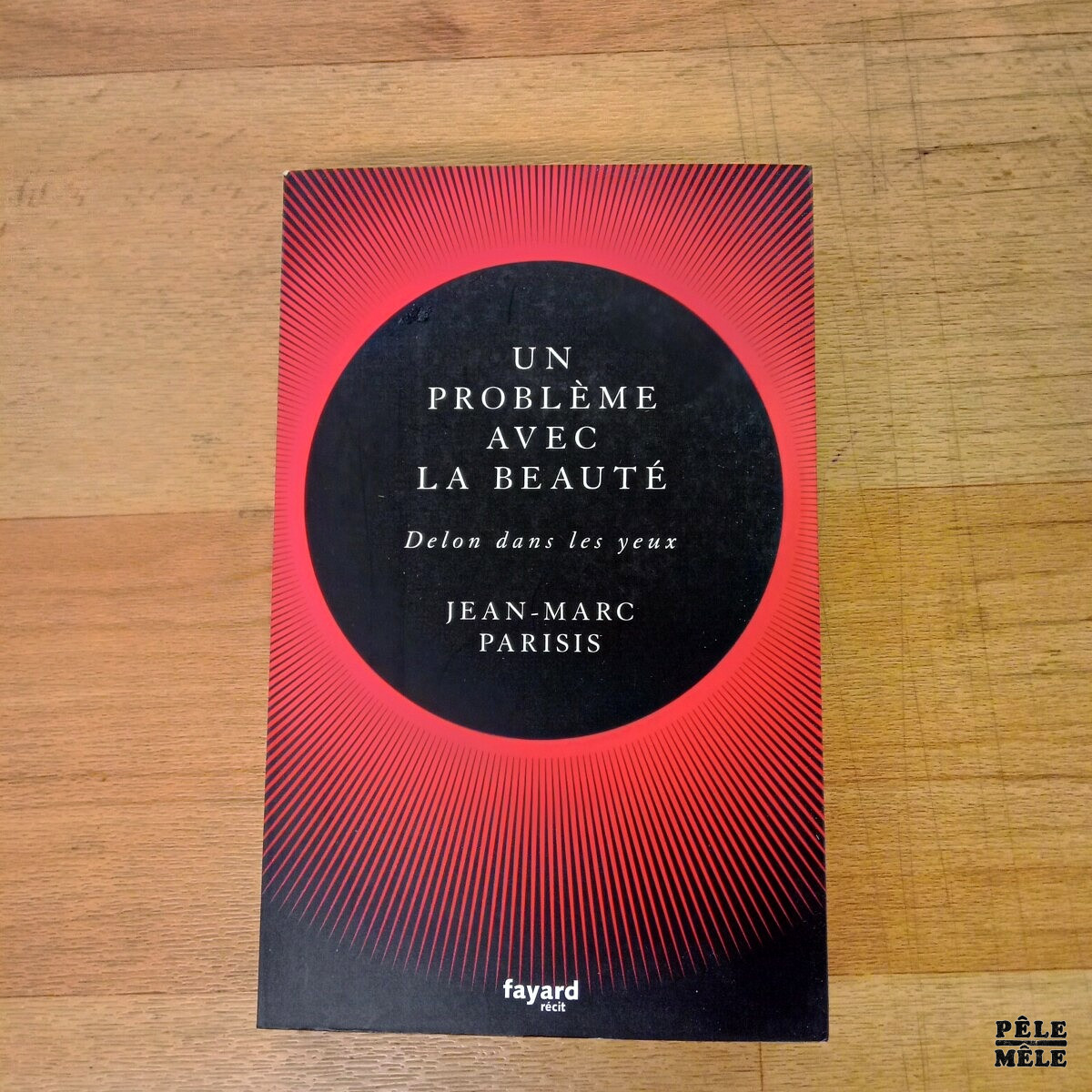 Un problème avec la beauté, Delon dans les yeux - Jean-Marc Parisis ...