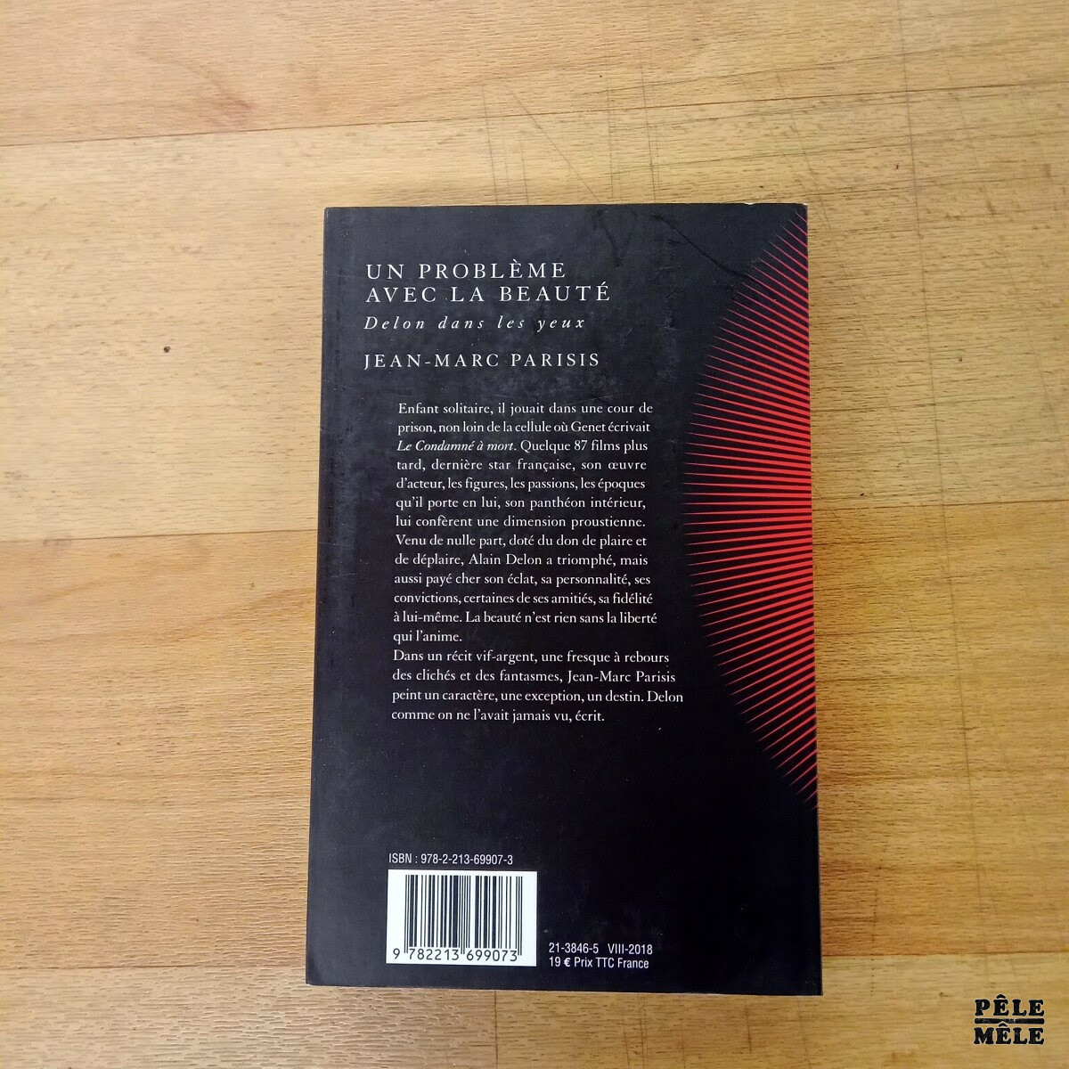 Un problème avec la beauté, Delon dans les yeux - Jean-Marc Parisis ...
