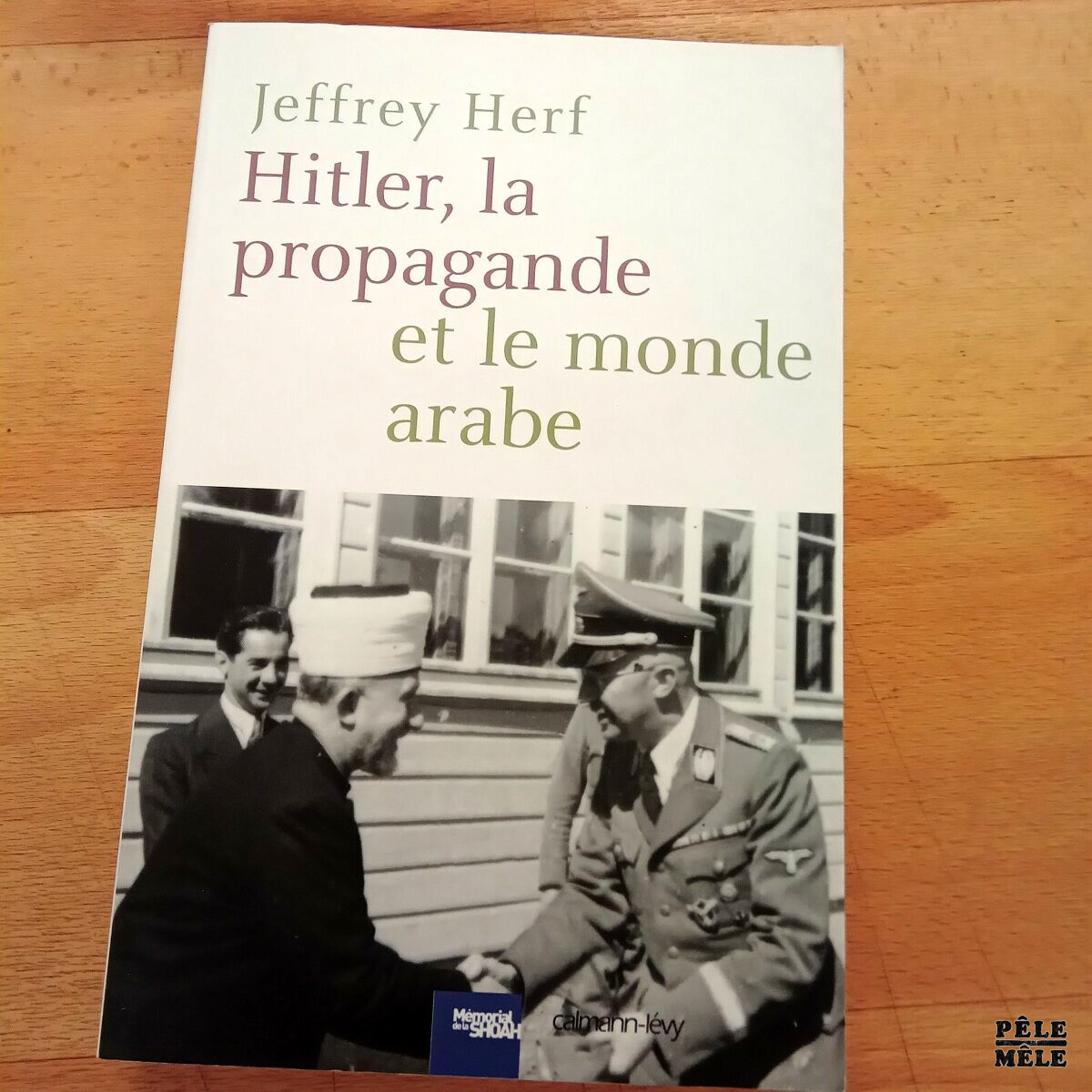 Hitler, la propagande et le monde arabe - Jeffrey Herf (Calmann-Lévy ...
