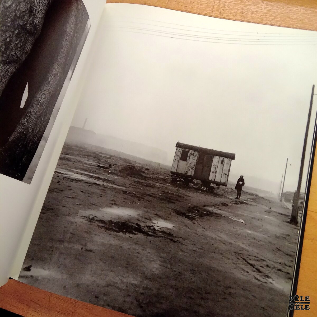 Henriette Grindat, Rêve et découverte / Traum und Entdeckung - Musée de ...