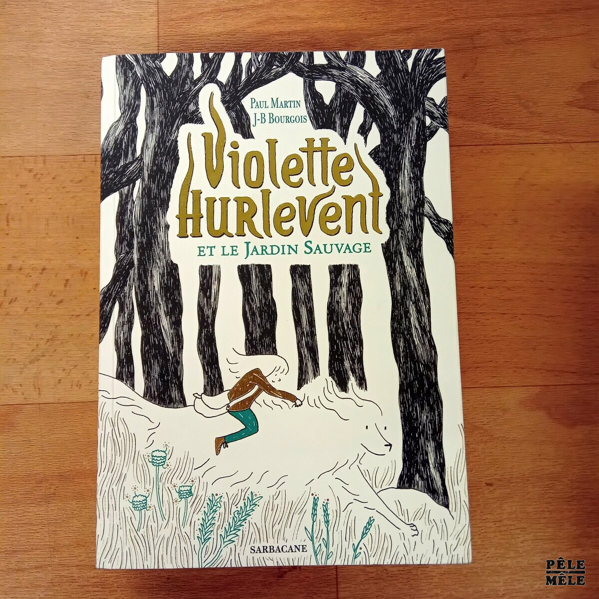 "Violette Hurlevent et le Jardin Sauvage" - Paul Martin et J-B Bourgois ...