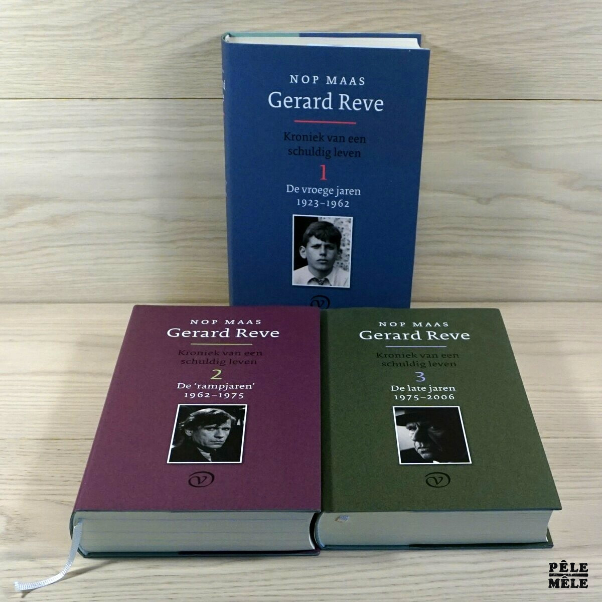 Gerard Reve Biografie 3 volumes - Nop Maas - Pêle-Mêle Online