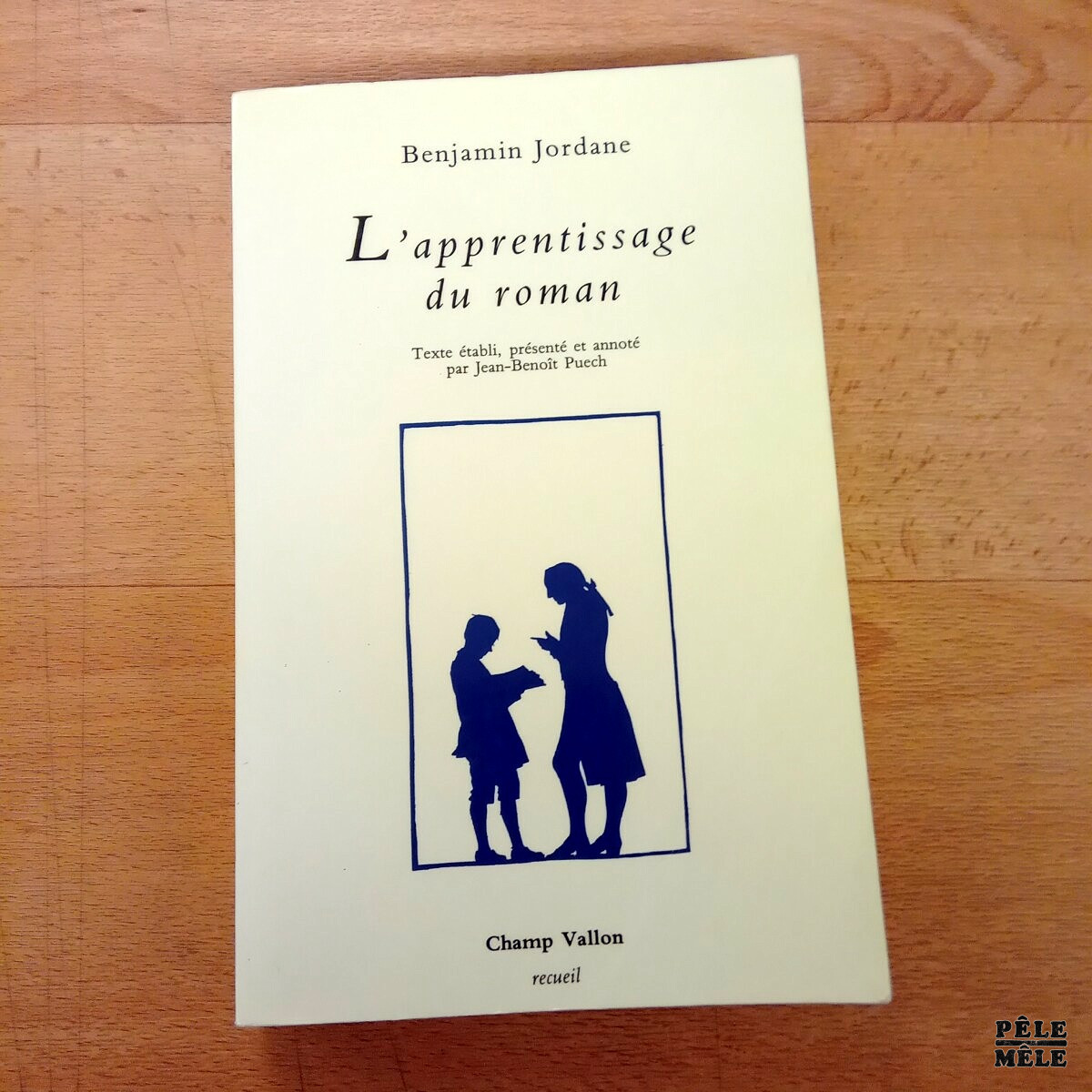 L'apprentissage du roman - Benjamin Jordane ( Champ vallon) - Pêle-Mêle ...