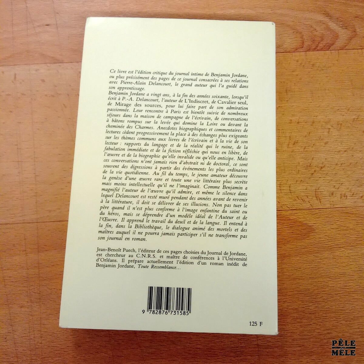 L'apprentissage du roman - Benjamin Jordane ( Champ vallon) - Pêle-Mêle ...