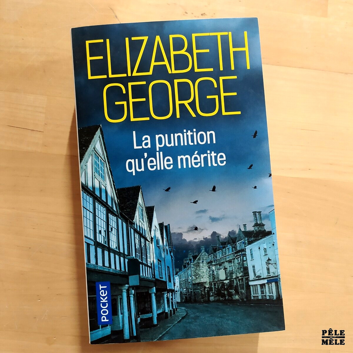 Elizabeth George "La Punition qu'elle mérite" (POCKET) - Pêle-Mêle Online
