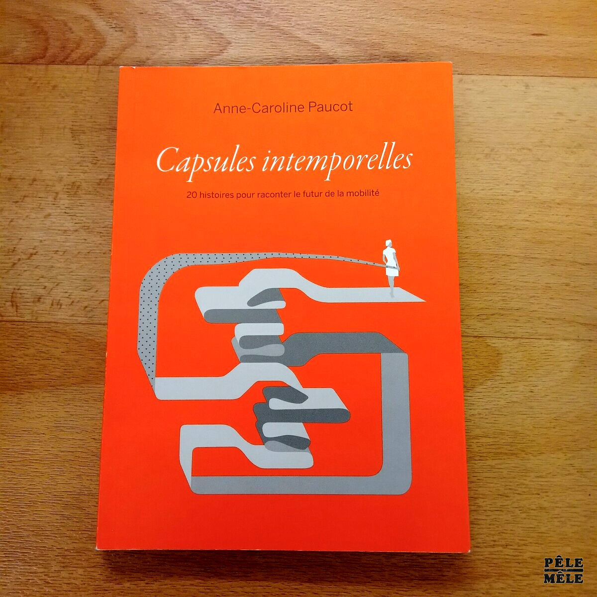 Capsules intemporelles 20 histoires pour raconter le futur de la ...