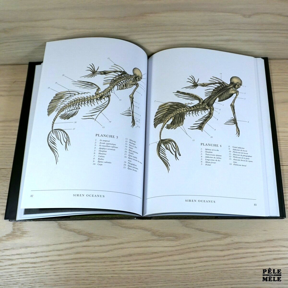 Le Cabinet du docteur Black - Eric B. Hudspeth - Pêle-Mêle Online