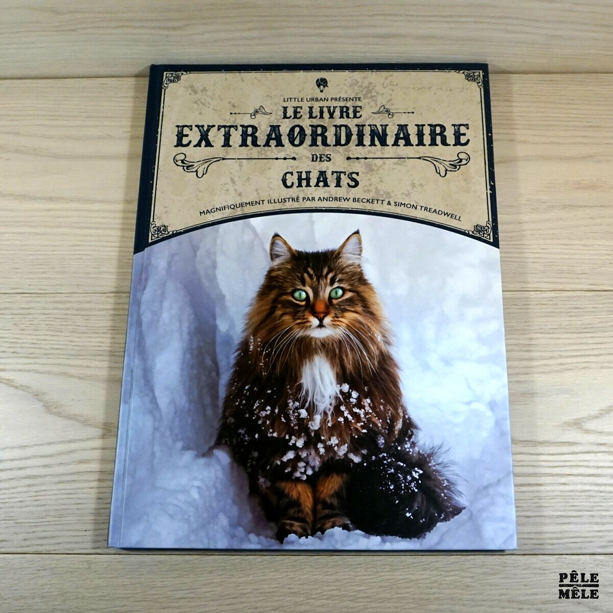 Le livre extraordinaire des chats - Andrew Beckett, Simon Treadwell ...