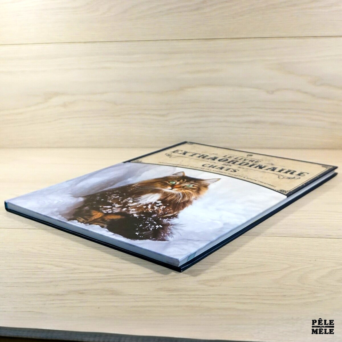 Le livre extraordinaire des chats - Andrew Beckett, Simon Treadwell ...