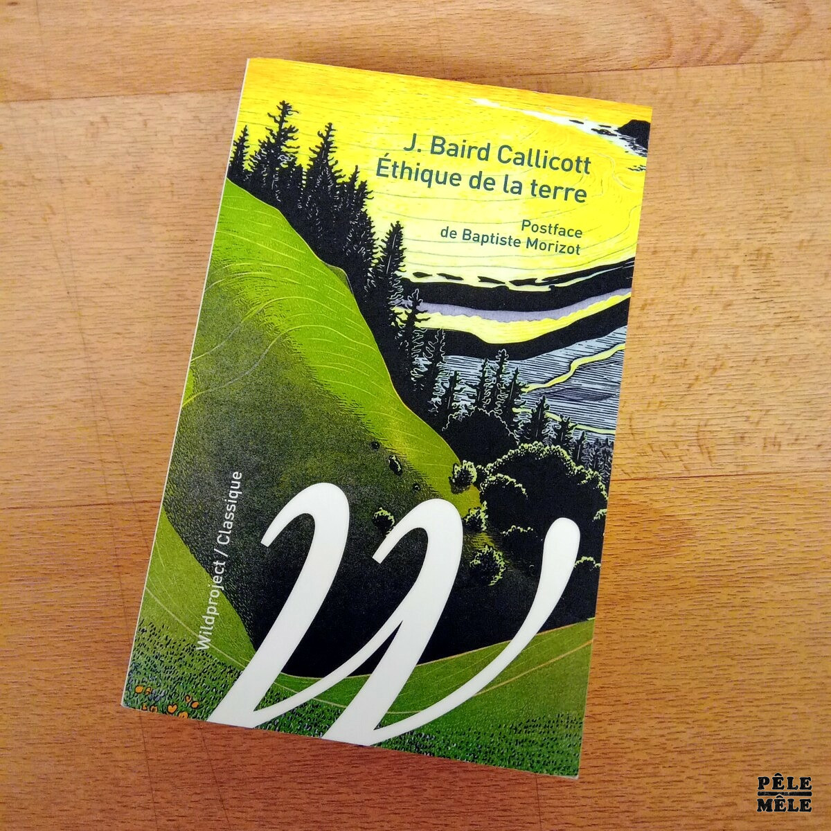 Ethique de la terre - J. Baird Callicott (Wild Project) - Pêle-Mêle Online