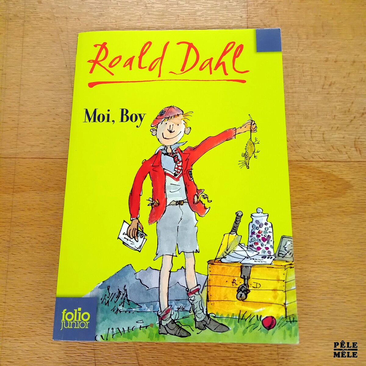 Moi, Boy - Roald Dahl (Folio Junior) - Pêle-Mêle Online