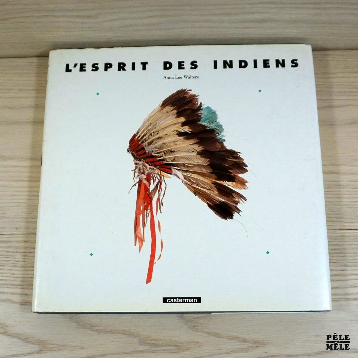 L'esprit des indiens - Anna Lee Walters - Casterman - Pêle-Mêle Online