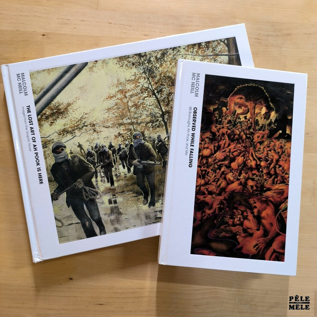 Malcolm McNeill "The Lost Art of Ah Pook Is Here" + "Observed while Falling" (FANTAGRAPHICS ...