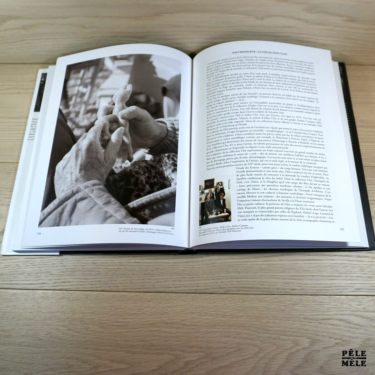 Dali - Le dur et le mou, Sortilège et magie des formes; Sculptures et ...