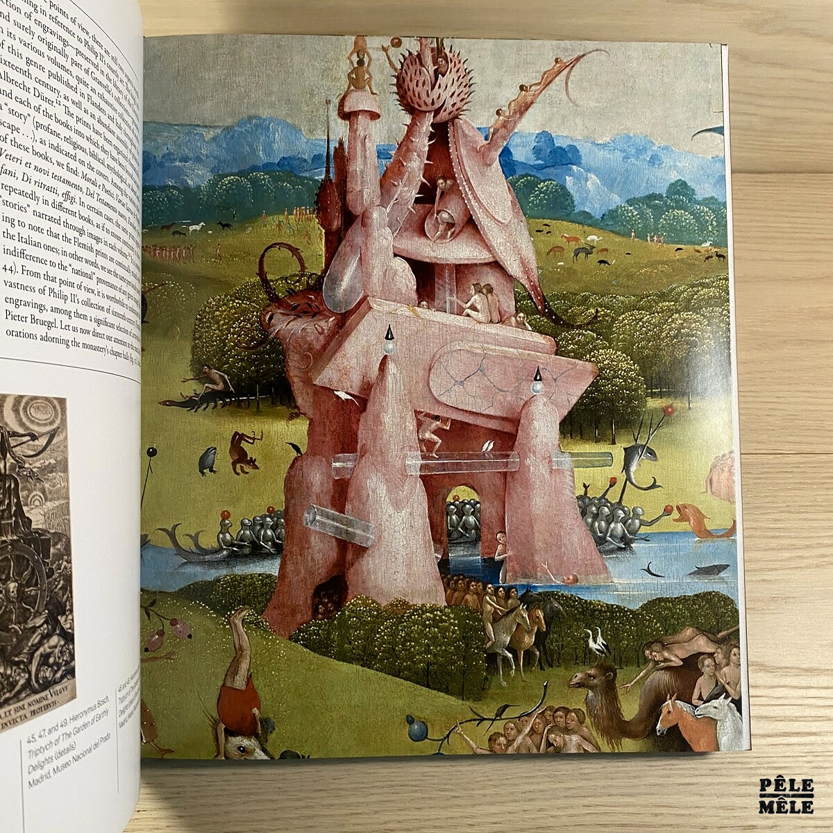 Hieronymus Bosch & the Other Renaissance - Bernard Aikema, Fernando ...