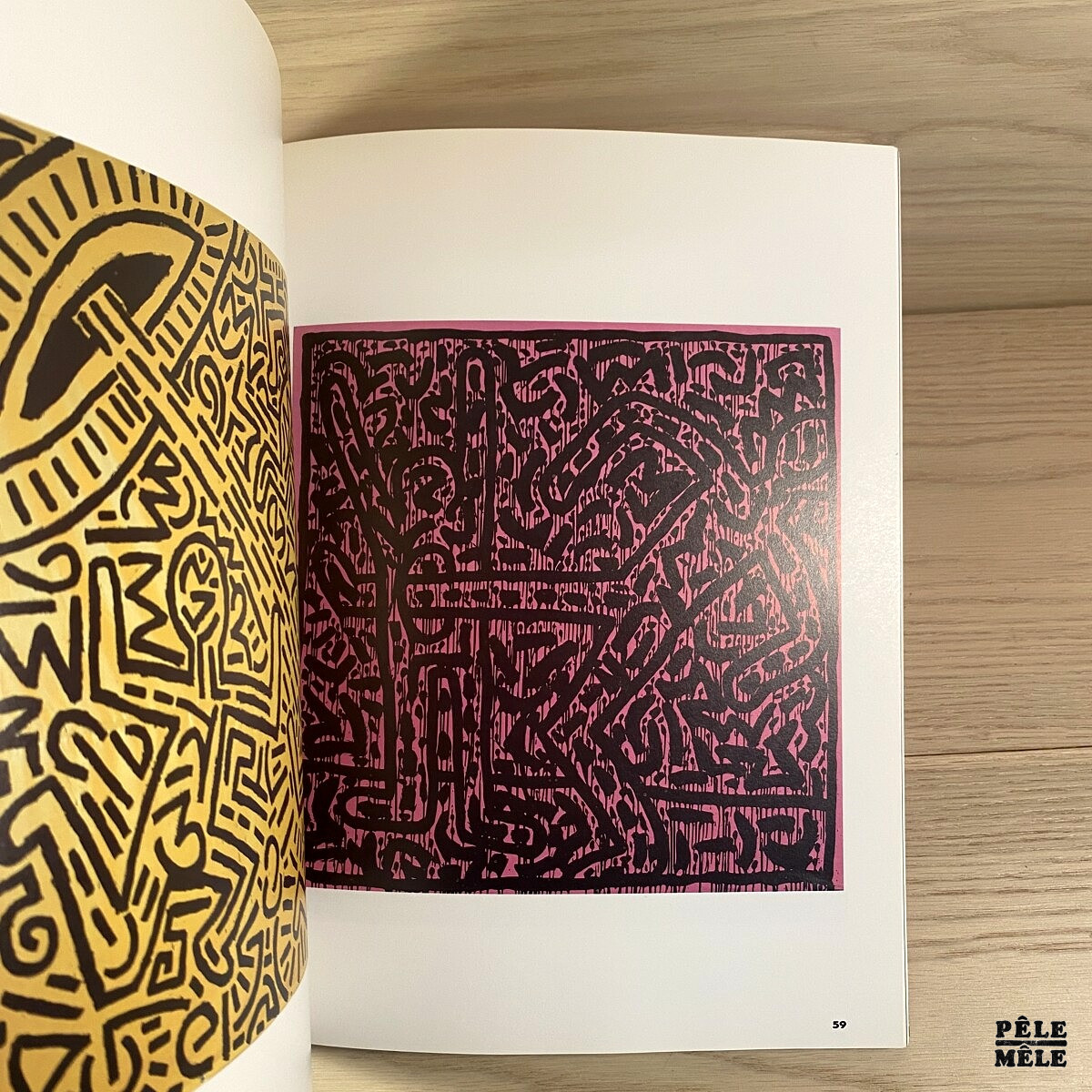 Keith Haring Future Primeval - Barry Blinderman - Pêle-Mêle Online