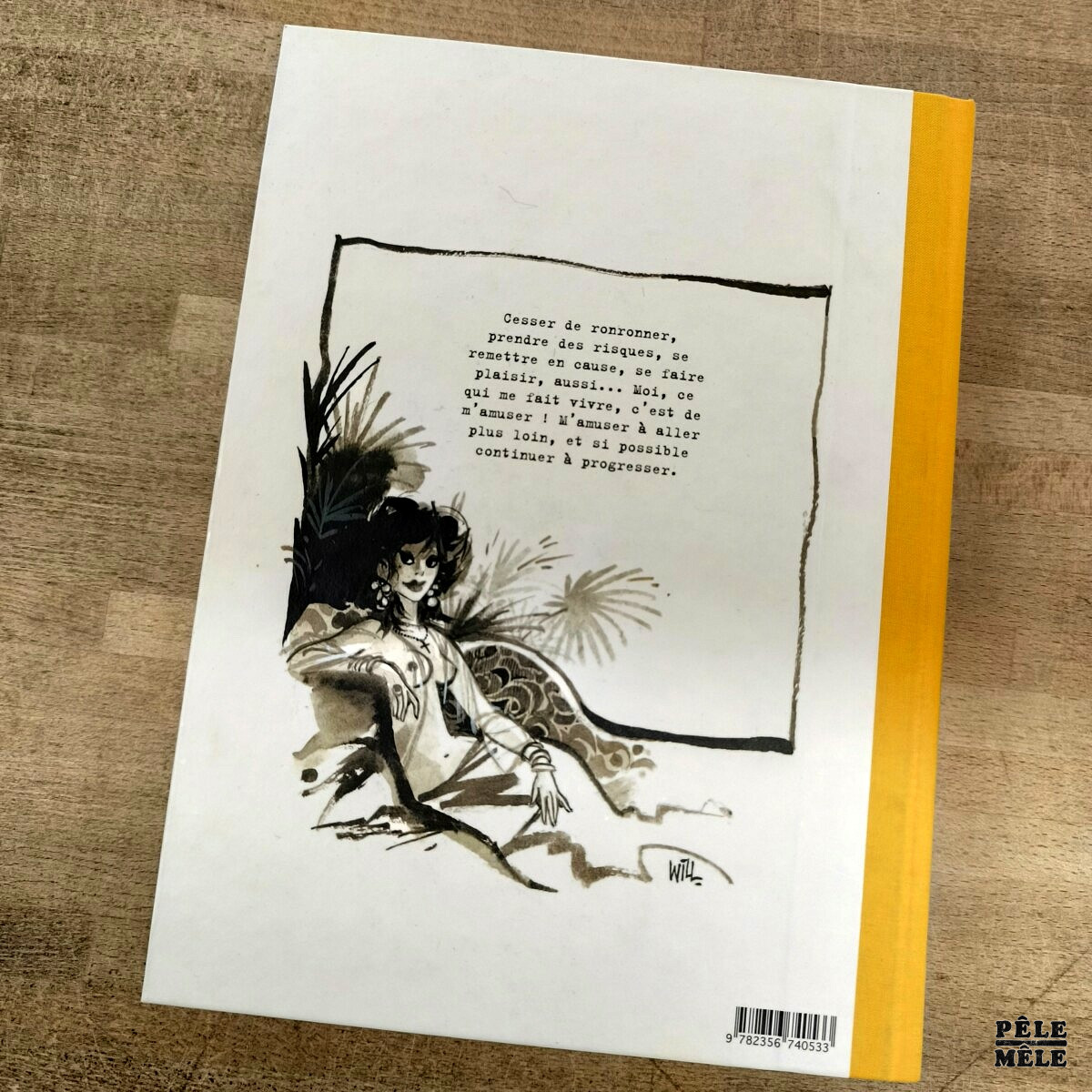 Vincent Odin "Will : Mirages" (DANIEL MAGHEN, 2017) - Pêle-Mêle Online