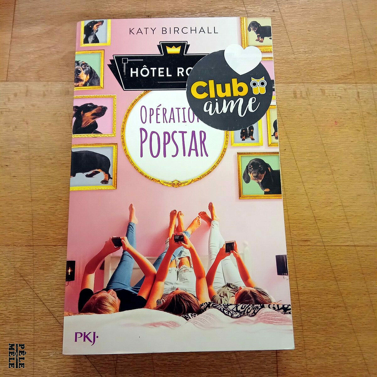 Opération Popstar - Katy Birchall (PKJ) - Pêle-Mêle Online