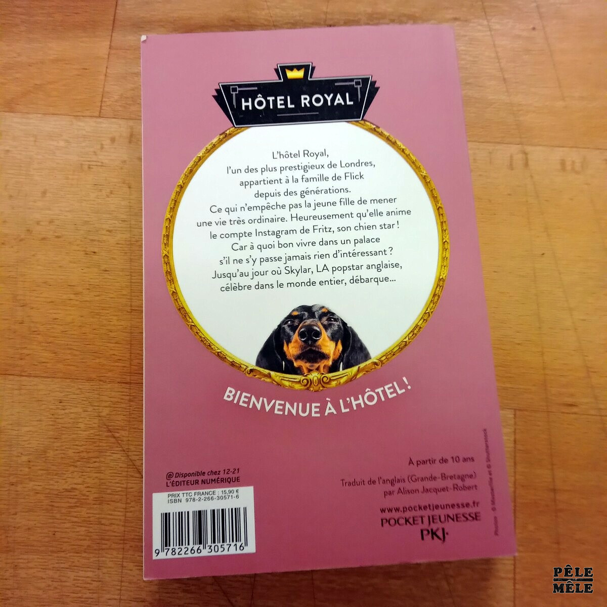 Opération Popstar - Katy Birchall (PKJ) - Pêle-Mêle Online