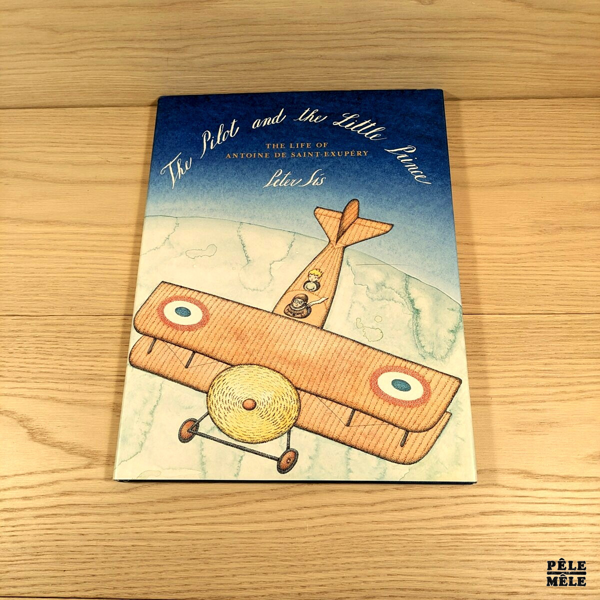 The Pilot and the Little Prince: The Life of Antoine de Saint-Exupéry ...