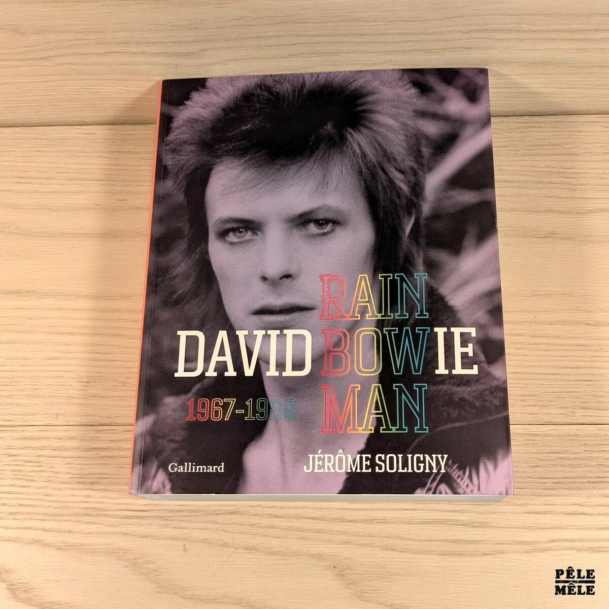 David Bowie - Rainbowman 1967-1980 - Jérôme Soligny - Pêle-Mêle Online