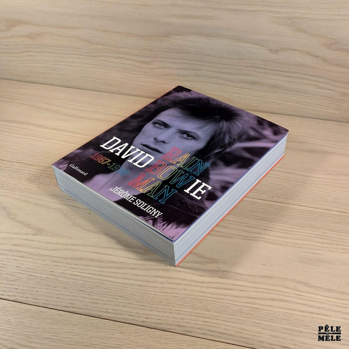 David Bowie - Rainbowman 1967-1980 - Jérôme Soligny - Pêle-Mêle Online