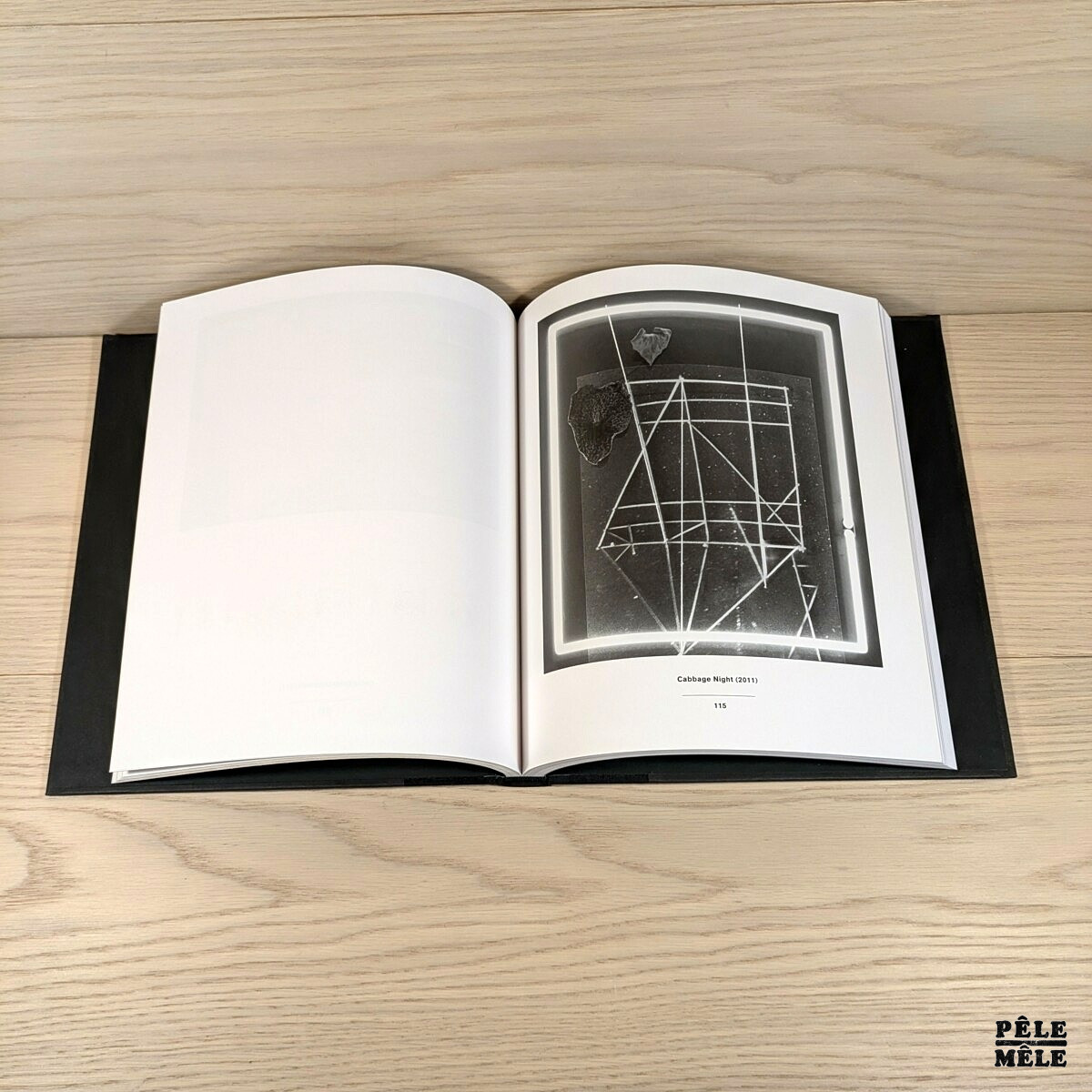 Rosemarie Trockel ; flagrant delight - Brigid Doherty, Gregory Williams ...