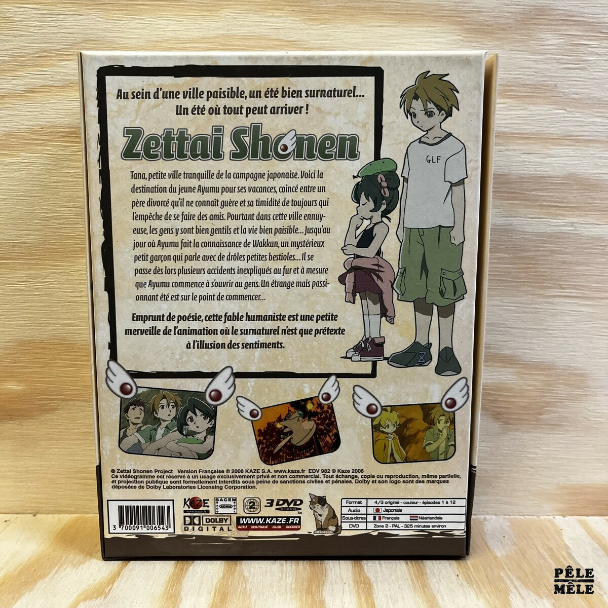 Tomomi Mochizuki "Zettai Shonen" (KAZE) / 3 dvds - Pêle-Mêle Online