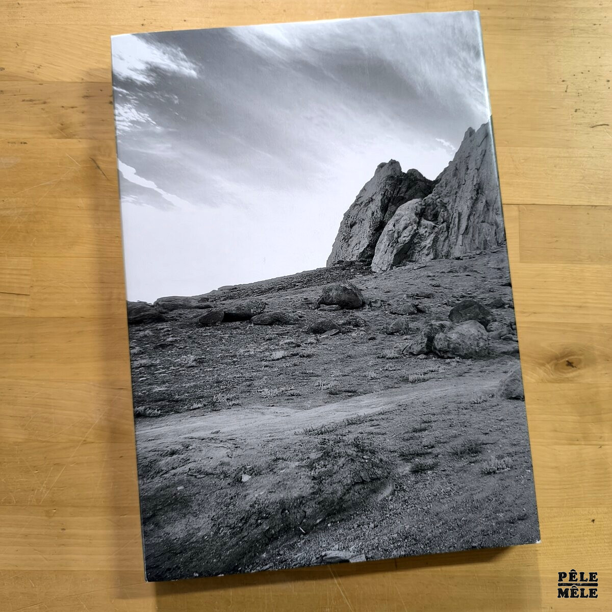 Shirin Neshat "Land of Dreams" (RADIUS BOOKS? 2022) IN ENGLISH - Pêle ...