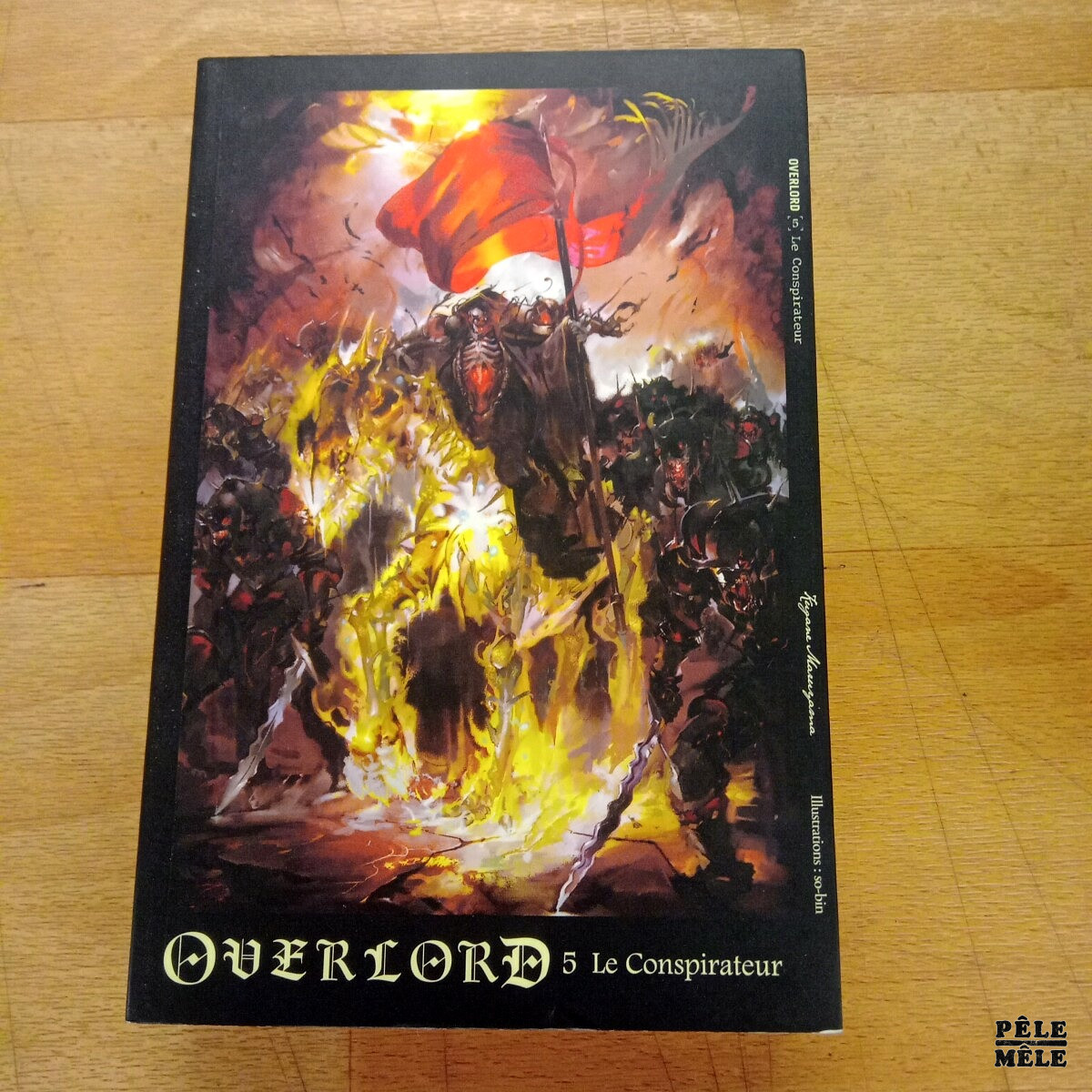 Overlord 5 Le mage de la destruction - Kugane Maruyama (Big LN) - Pêle ...