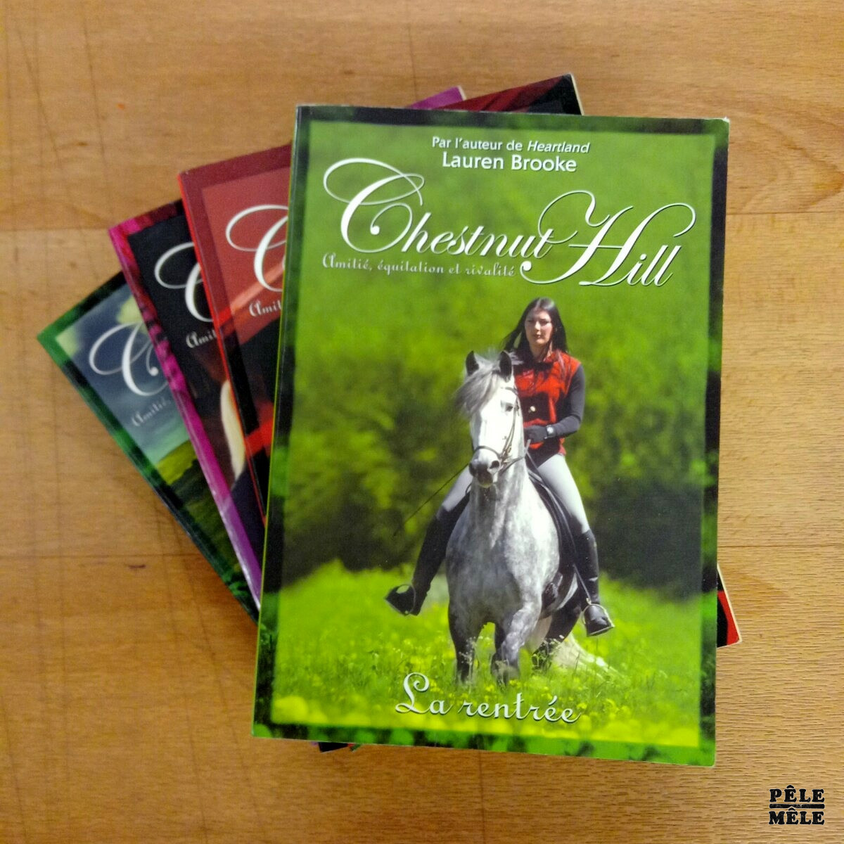 Série 4 volumes "Chestnut Hill: Amitié, équitation et rivalité, Tomes 1 ...