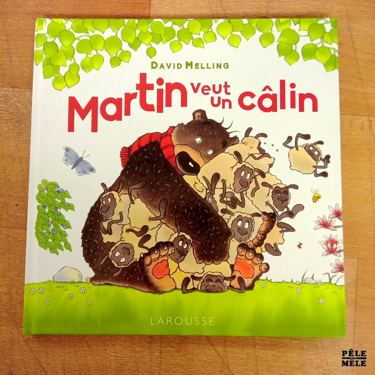 "Martin veut un câlin" - David Melling (Larousse) - Pêle-Mêle Online