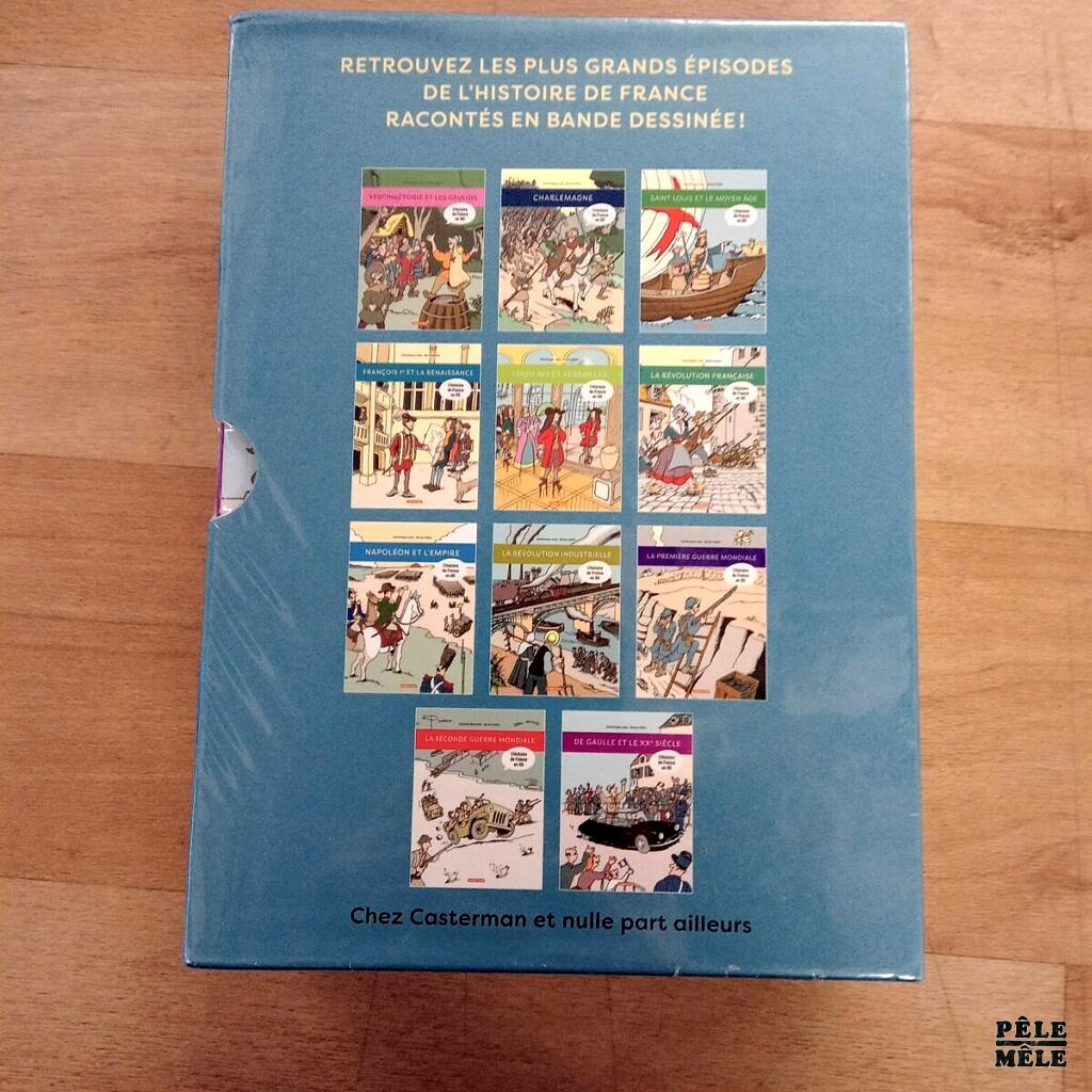 "L'Histoire de France en BD" - Dominique Joly, Isabelle Bournier, Bruno ...
