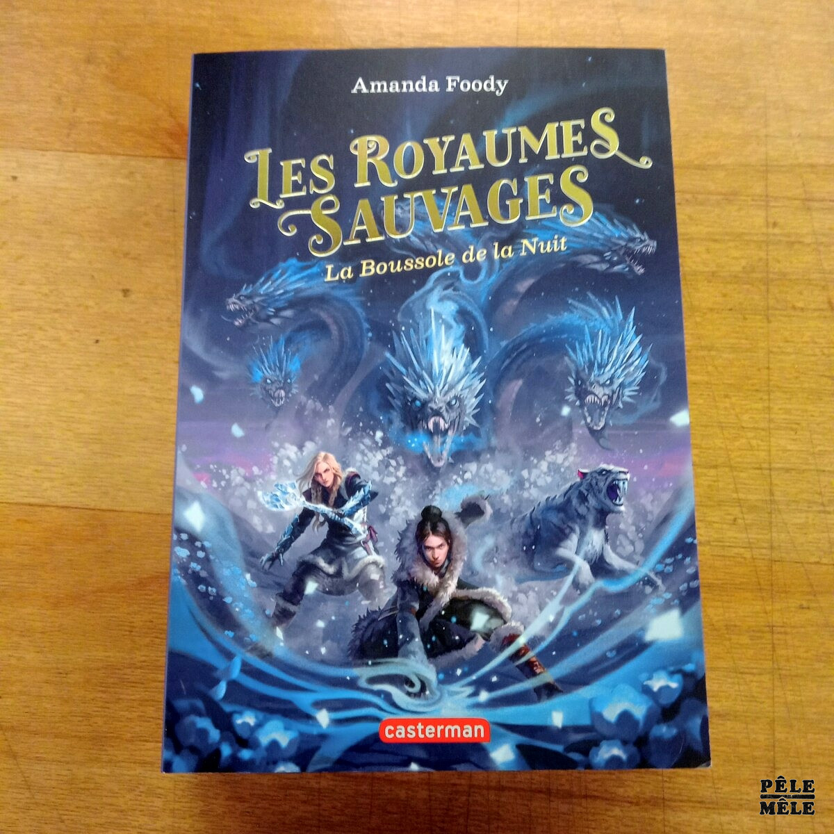 "Les Royaumes Sauvages, Tome 4: La Boussole de la Nuit" - Amanda Foody ...